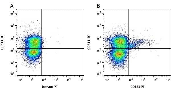 CD163 Antibody (MA5-28293)