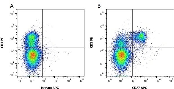 CD27 Antibody, FITC (MA5-28338)