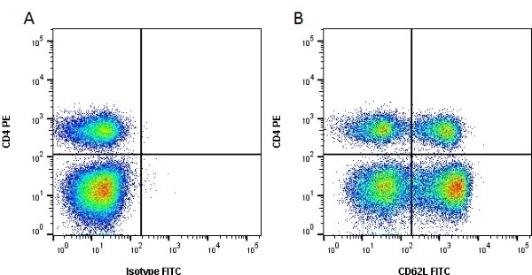 CD62L (L-Selectin) Antibody, FITC (MA5-28417)