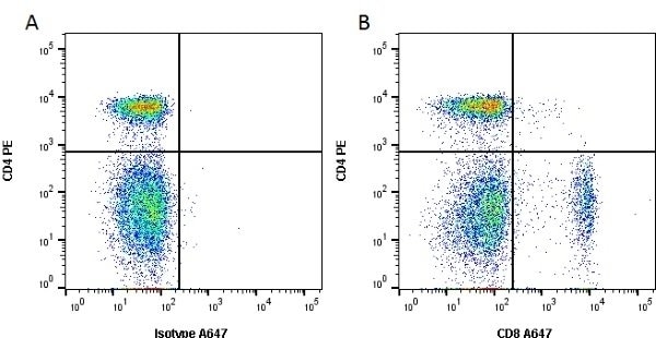 CD8 Antibody, FITC (MA5-28429)