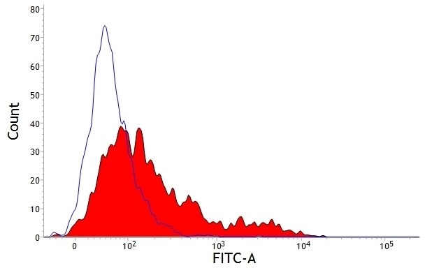 WC1 Antibody (MA5-28515)