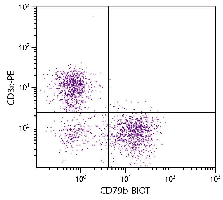 CD79b Antibody, Biotin (MA5-28664)