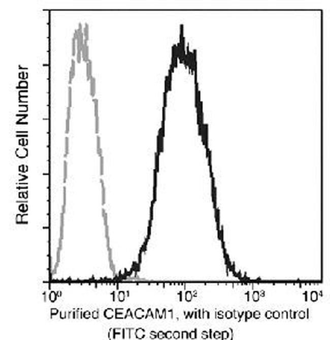 CEACAM1 Antibody (MA5-29142)