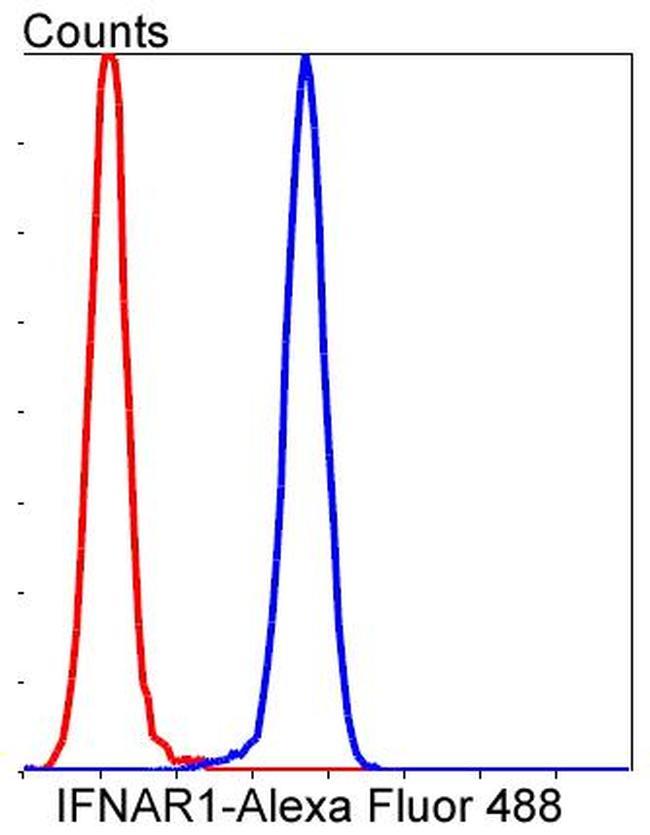 IFNAR1 Antibody (MA5-32006)