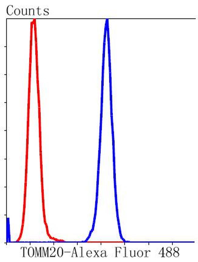TOMM20 Antibody (MA5-32148)