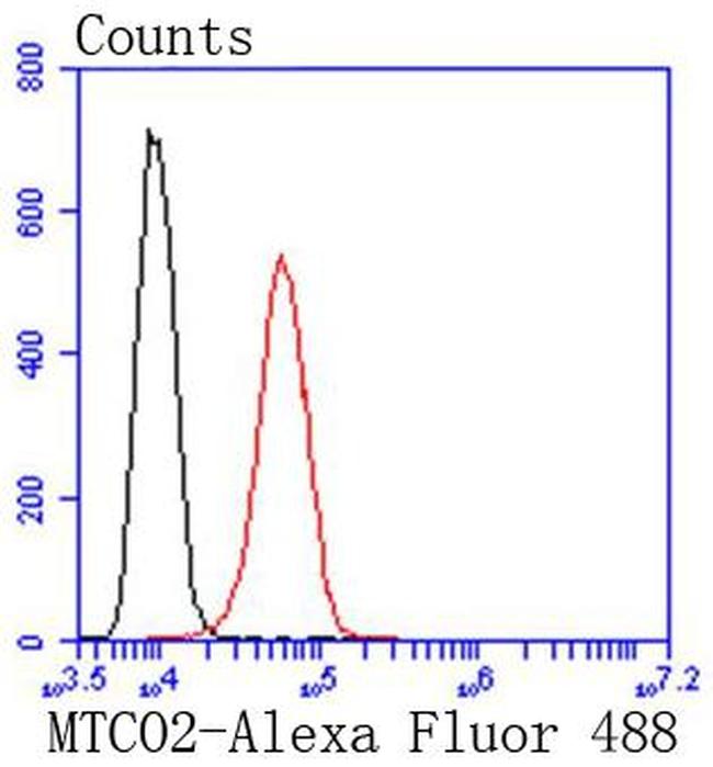 MTCO2 Antibody (MA5-32239)