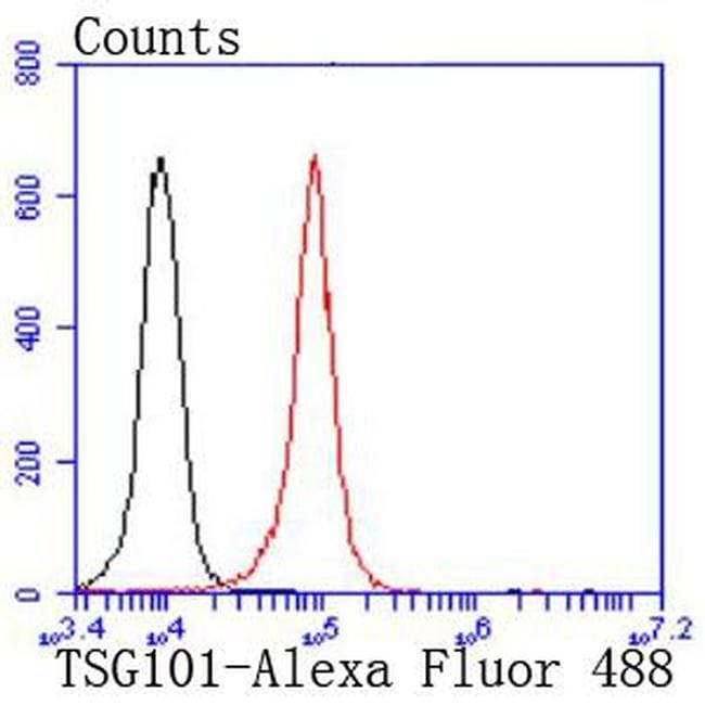 TSG101 Antibody (MA5-32463)
