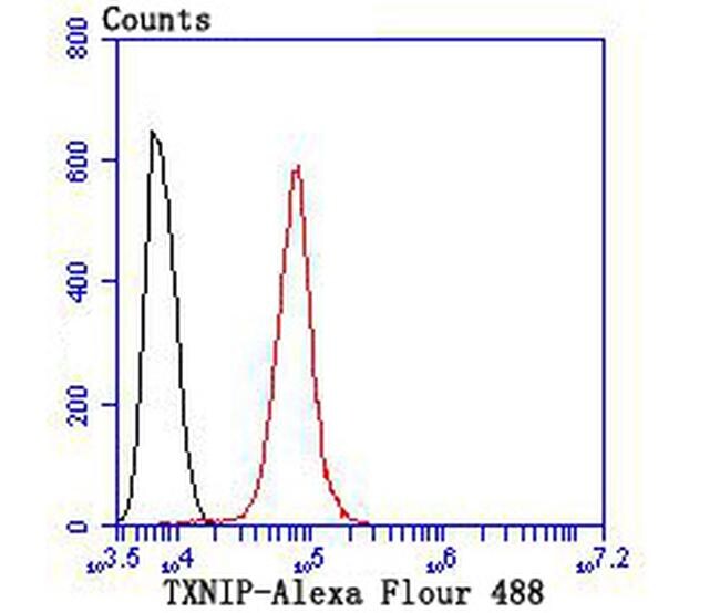 TXNIP Antibody (MA5-32771)