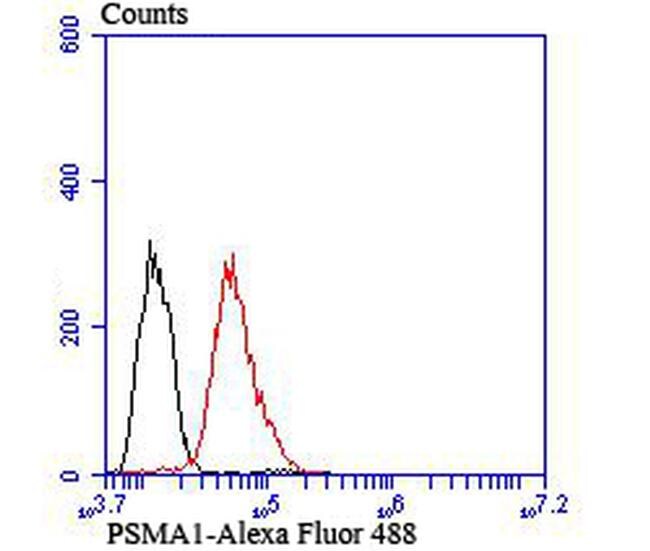 PSMA1 Antibody (MA5-32806)