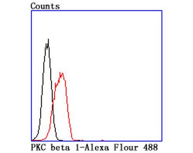 PKC beta-1 Antibody (MA5-32858)