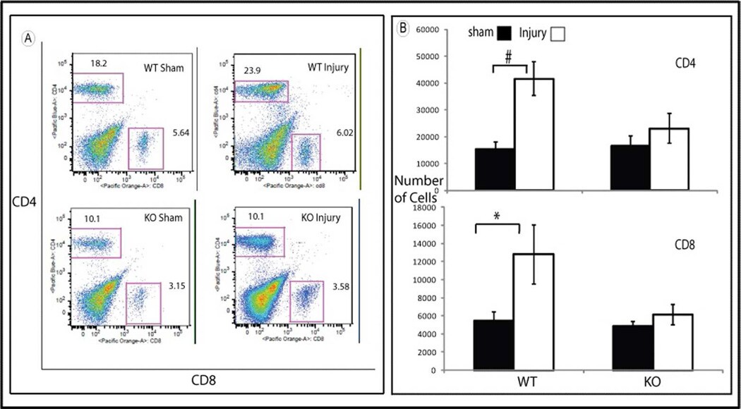 CD8 alpha Antibody, Pacific Orange™ (MCD0830)