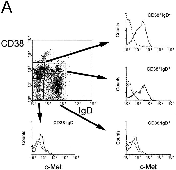 CD38 Antibody, FITC (Monoclonal, HIT2)