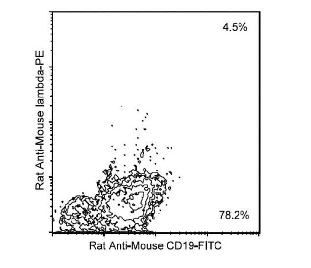 Rat anti-Mouse Lambda Light Chain, FITC (MLAMBDA01)