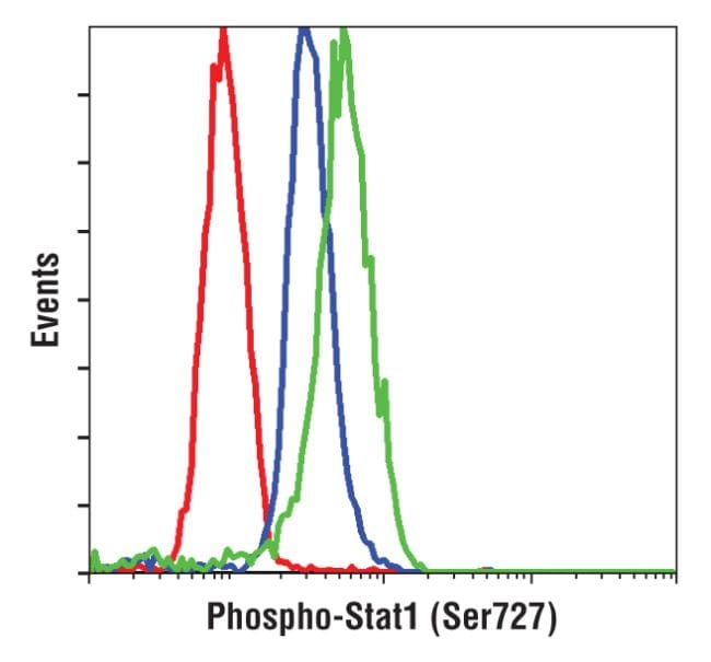 Phospho-STAT1 (Ser727) Antibody (PA5-17635)