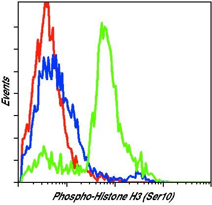 Phospho-Histone H3 (Ser10) Antibody (PA5-17869)