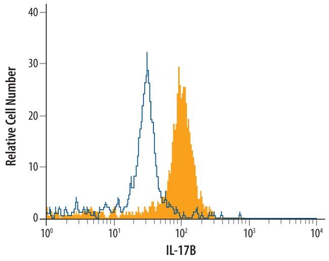 IL17B Antibody (PA5-47186)