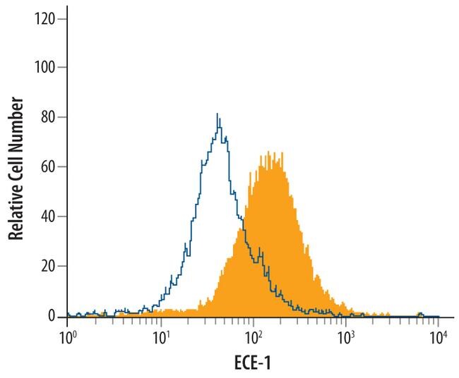 ECE1 Antibody (PA5-47201)