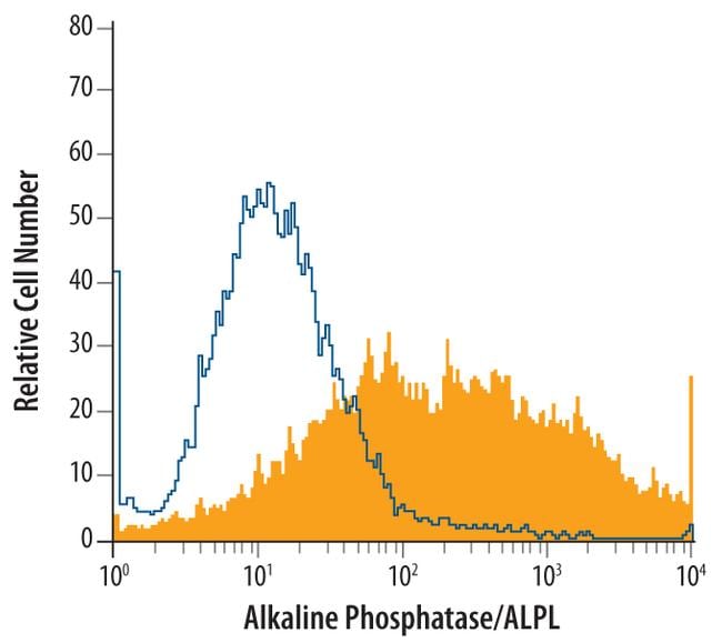 ALPL Antibody (PA5-47419)