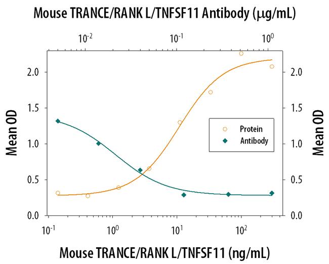 CD254 (RANK Ligand) Antibody (PA5-47641)