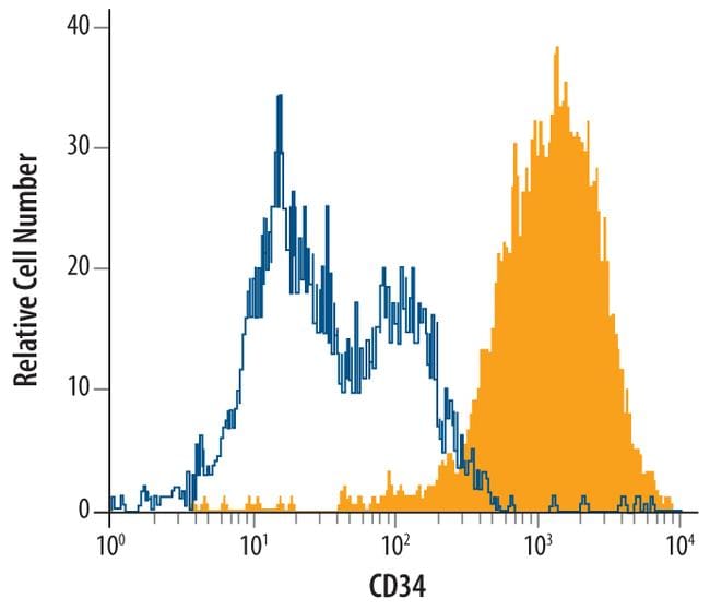 CD34 Antibody (PA5-47849)