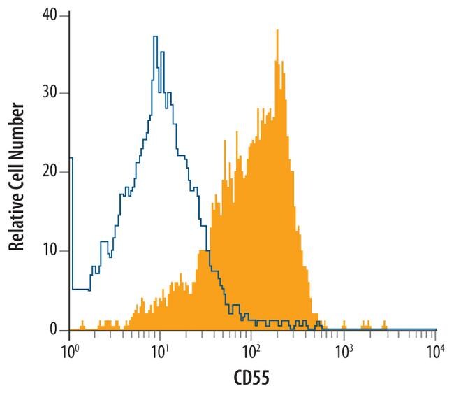 CD55 Antibody (PA5-48077)
