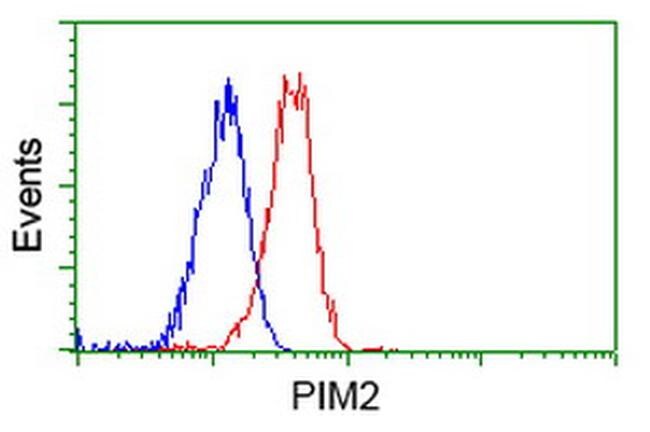PIM2 Antibody (TA501166)