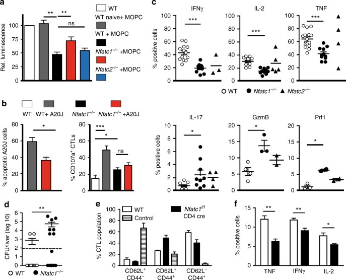 Perforin Antibody, PE (Monoclonal, eBioOMAK-D)