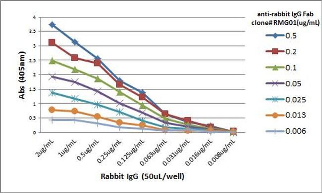 Goat anti-Rabbit IgG Fab (SA5-10225)