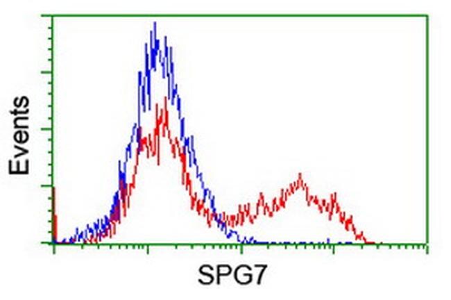 SPG7 Antibody (TA504420)