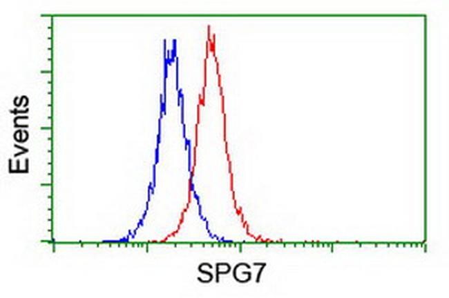 SPG7 Antibody (TA800010)
