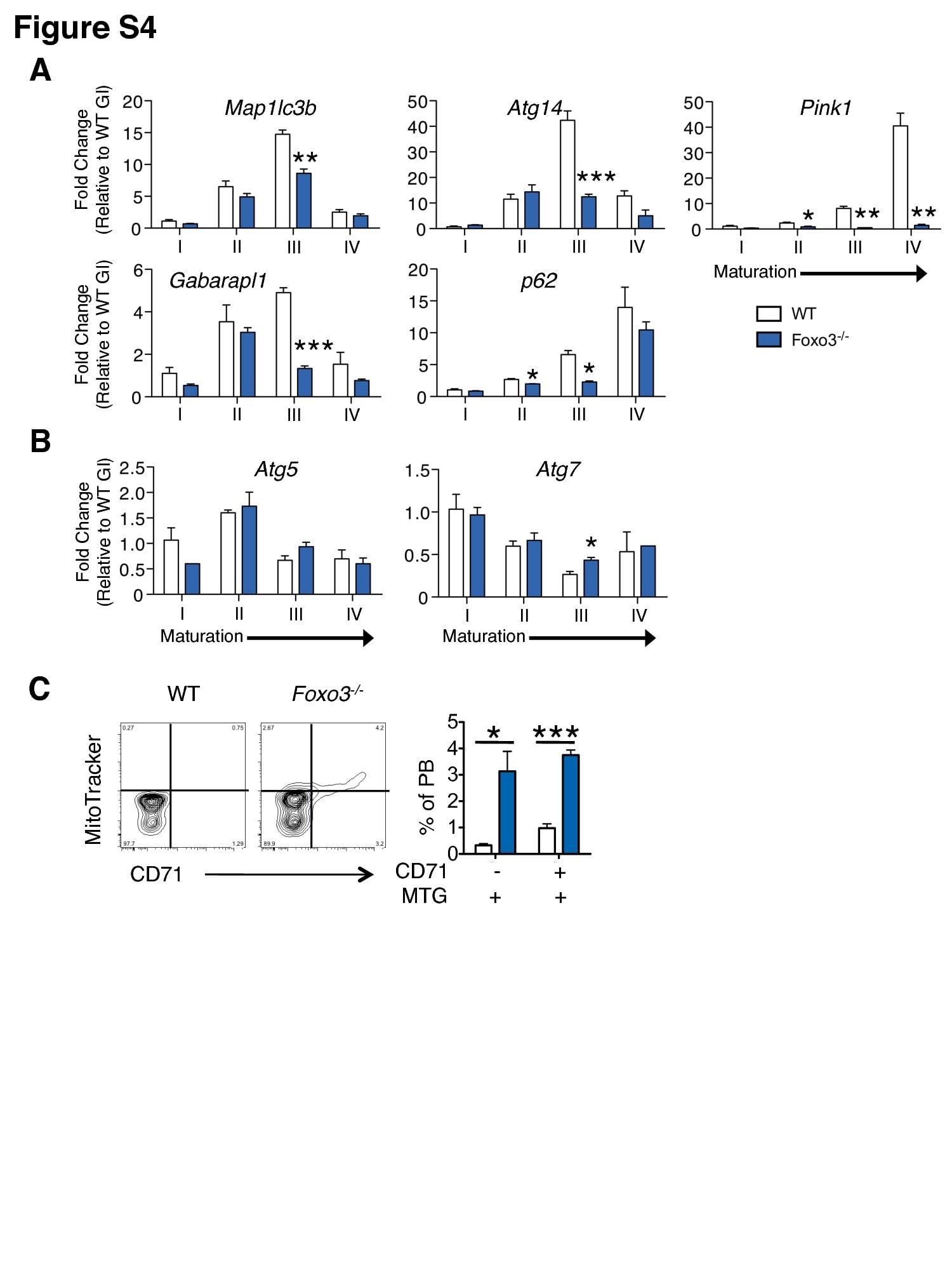 CD71 (Transferrin Receptor) Antibody, PE (12-0711-82)