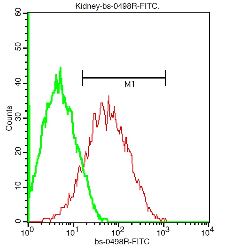 ADRB1 Antibody (BS-0498R)