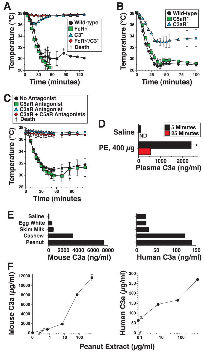 Complement C3a Antibody (GAU 013-16-02)