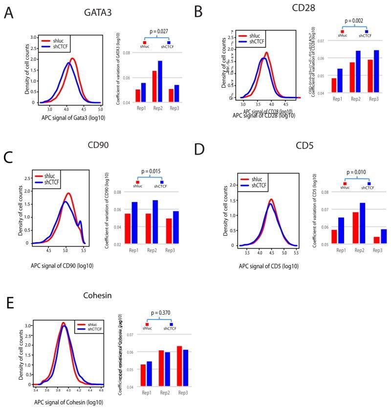 CD28 Antibody (14-0281-82)