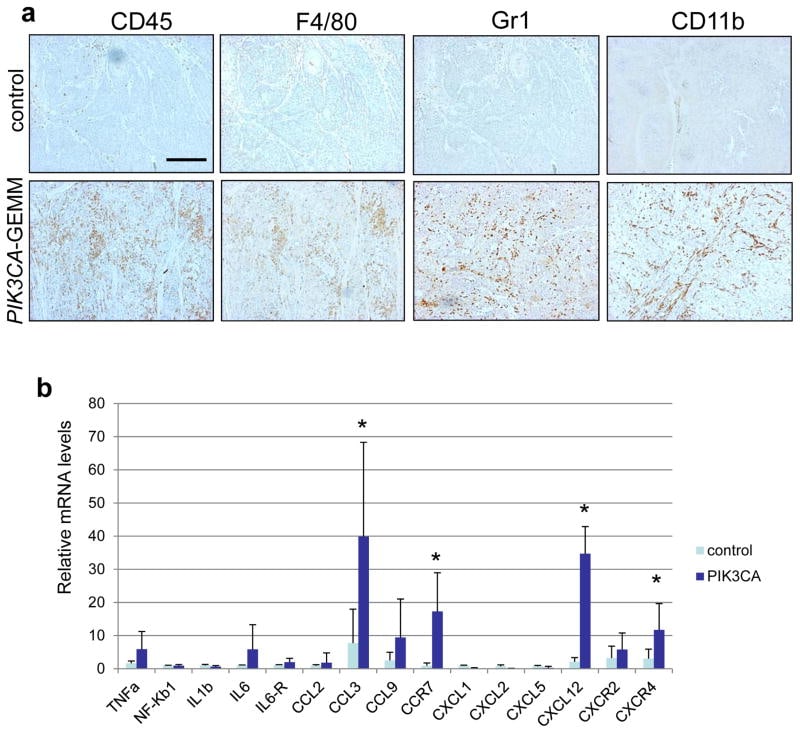 CD45 Antibody (14-0451-82)