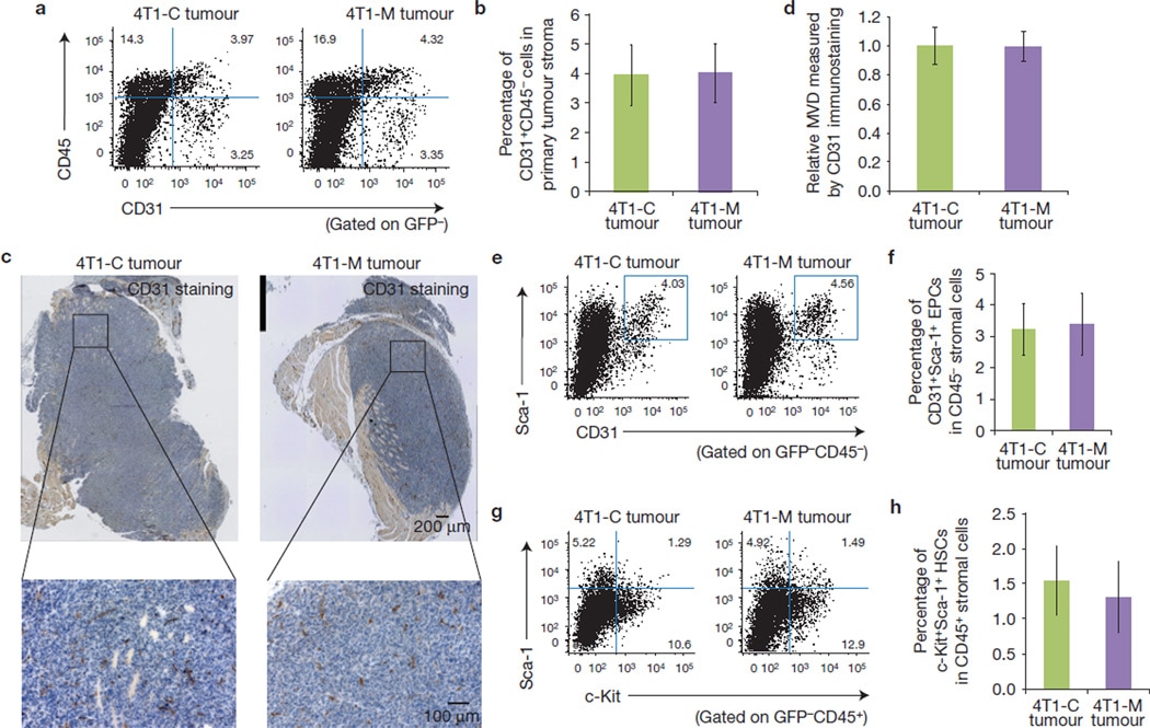 CD45.2 Antibody, PE-Cyanine7 (25-0454-82)