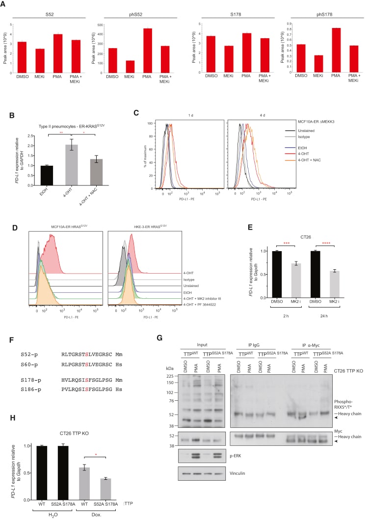 CD274 (PD-L1, B7-H1) Antibody, PE (12-5982-82)