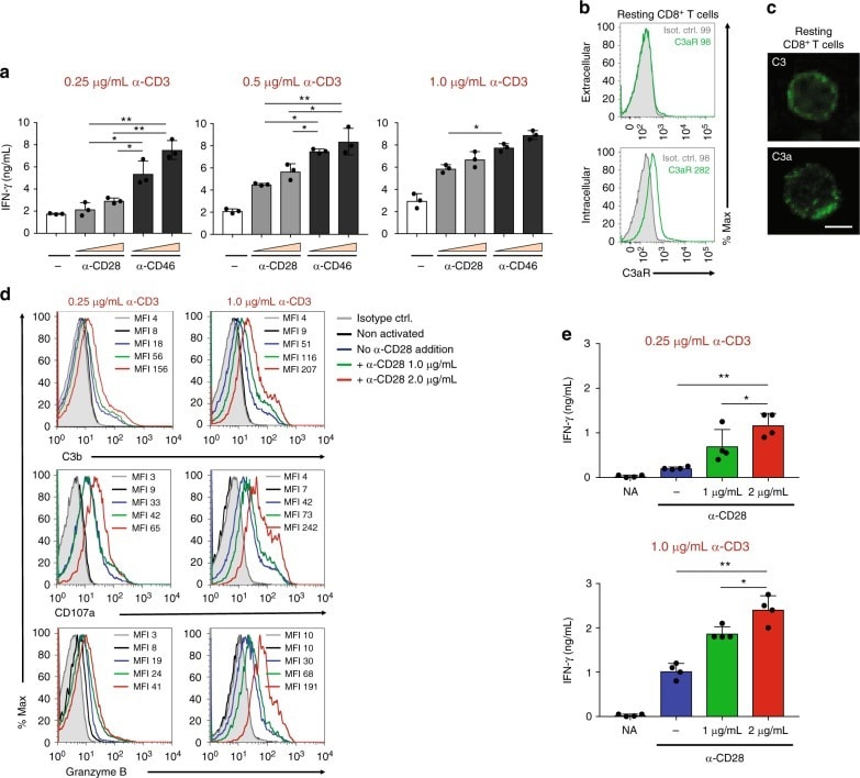CD107a (LAMP-1) Antibody, PE (12-1079-42)