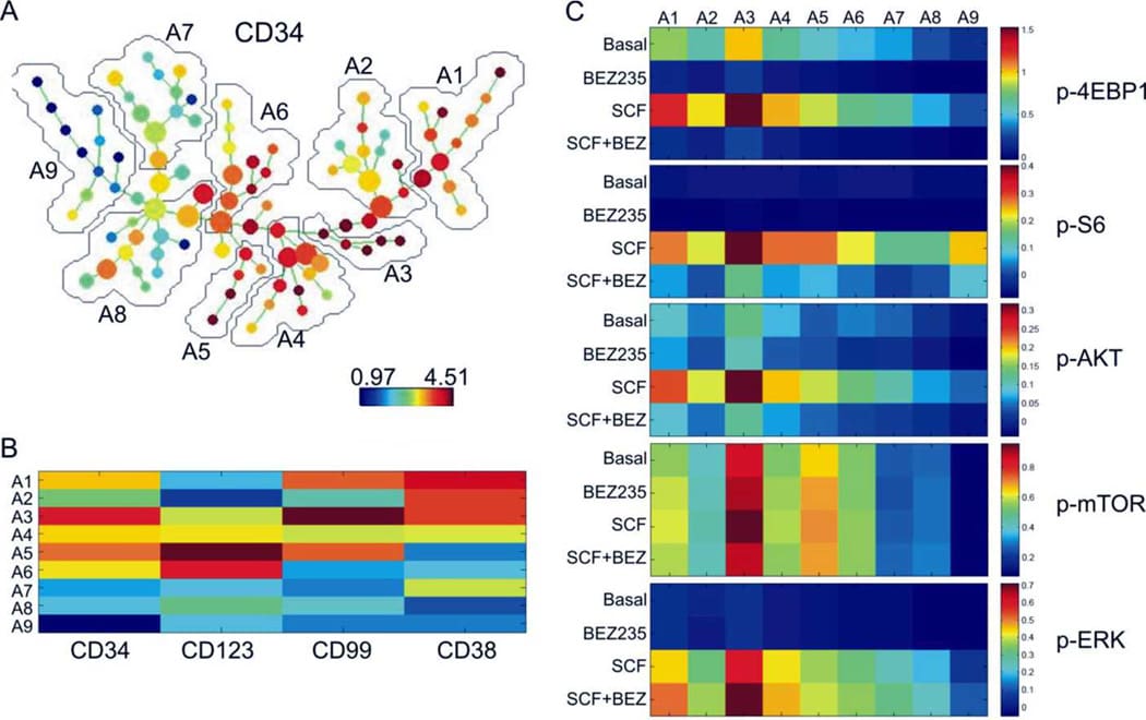CD34 Antibody, FITC (11-0349-42)