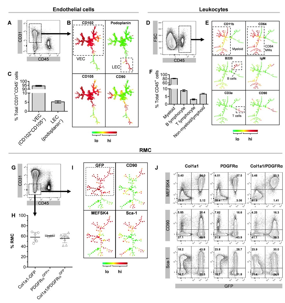 CD90 Antibody, APC (A14727)