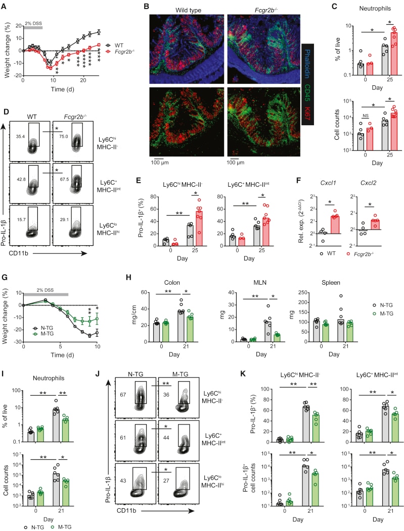 CD45R (B220) Antibody (14-0452-82)