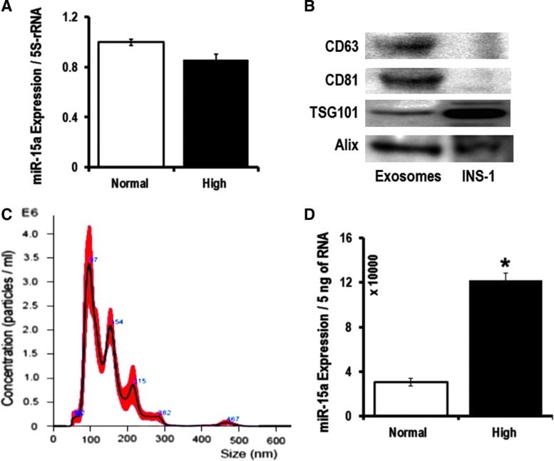 CD63 Antibody (10628D)