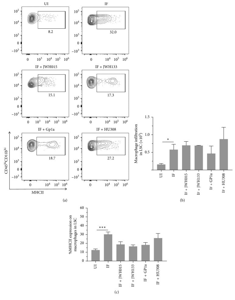 MHC Class II (I-A/I-E) Antibody, FITC (11-5321-82)