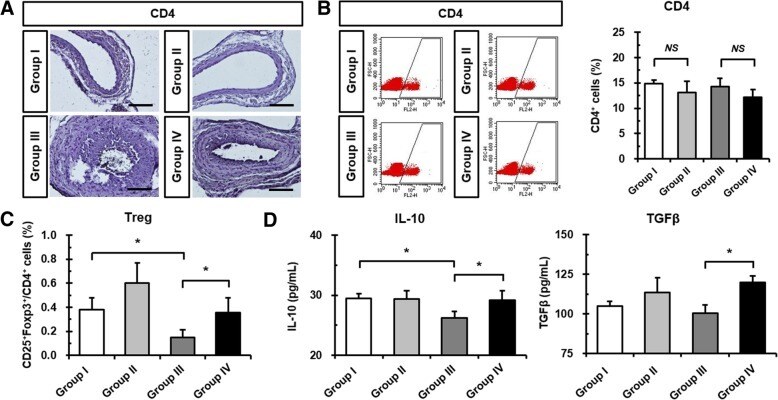 CD4 Antibody (14-0041-82)